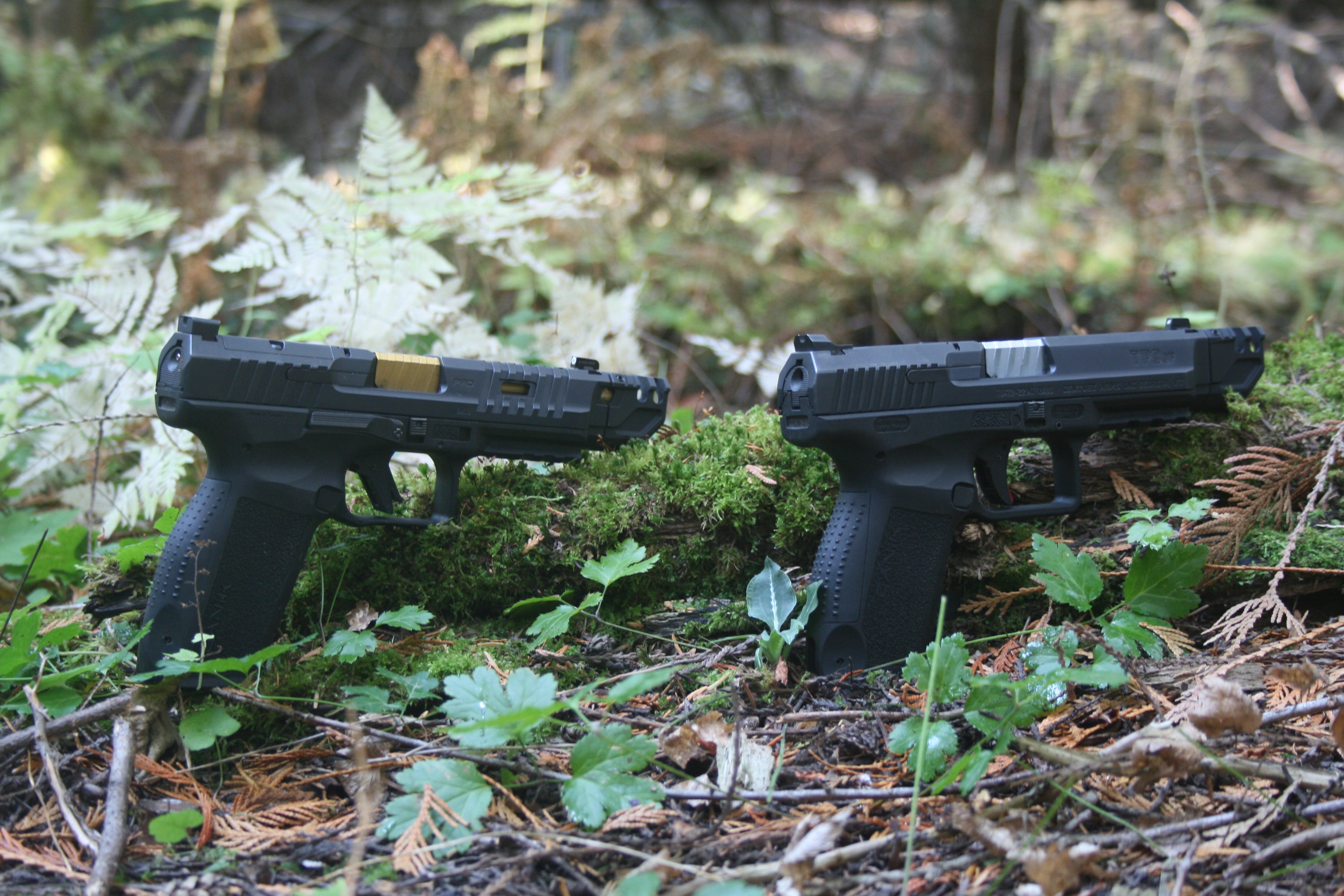 Single Port or Dual Port Compensators. What's Better? - RDI-ARMS